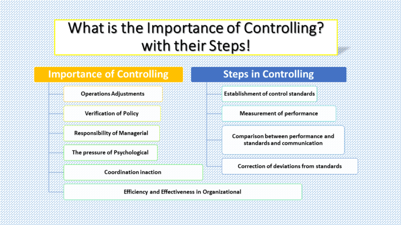 What is the Importance of Controlling? with their Steps - ilearnlot