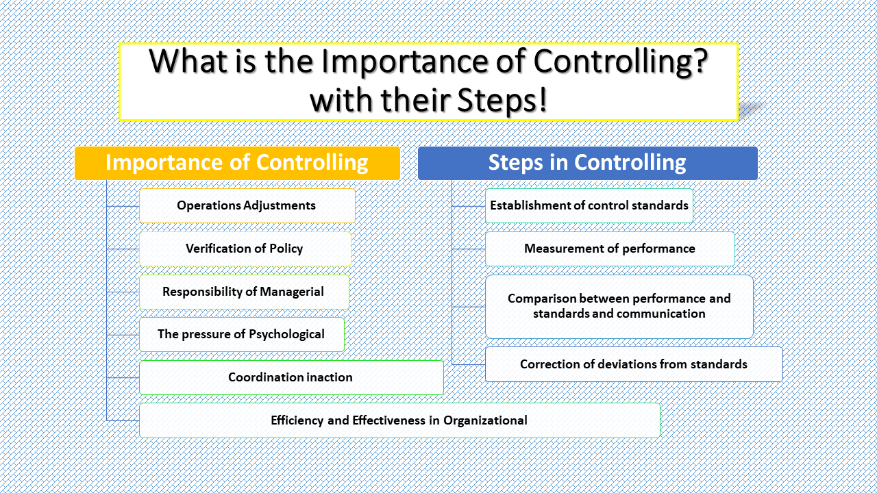 What is the Importance of Controlling? with their Steps - ilearnlot