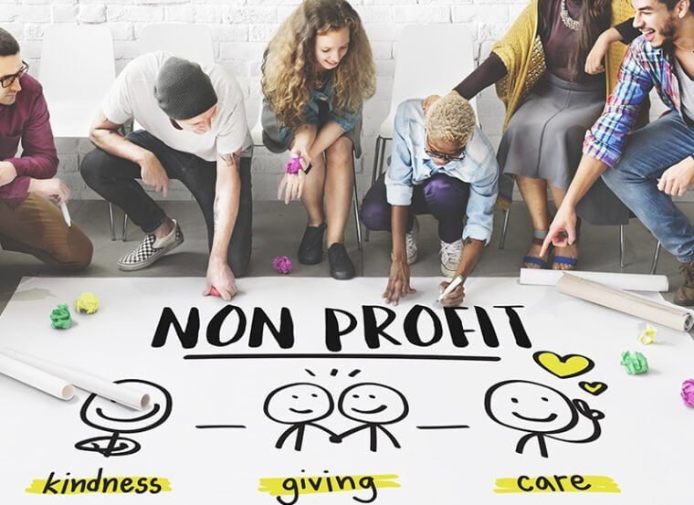 What Is A Not-for-Profit Organization? How They Works? - Ilearnlot