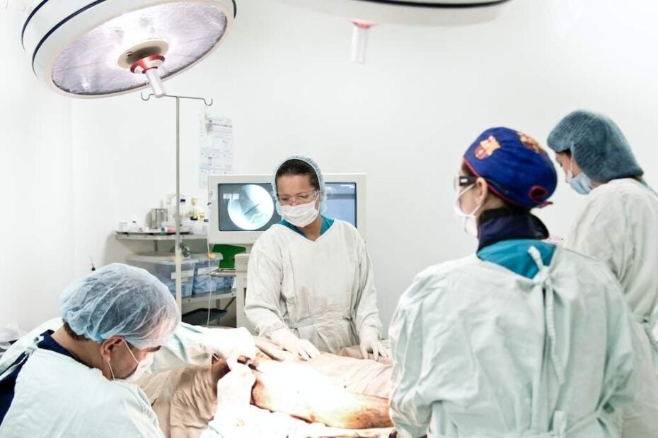 A Guide to Gastric Sleeve Surgery (Gastrectomy) Before and After ...